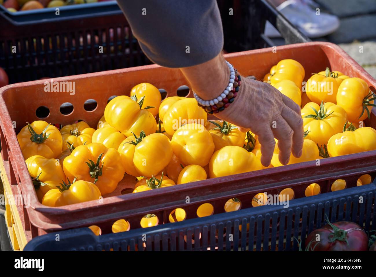 Ripe tomatos on market hi-res stock photography and images - Alamy