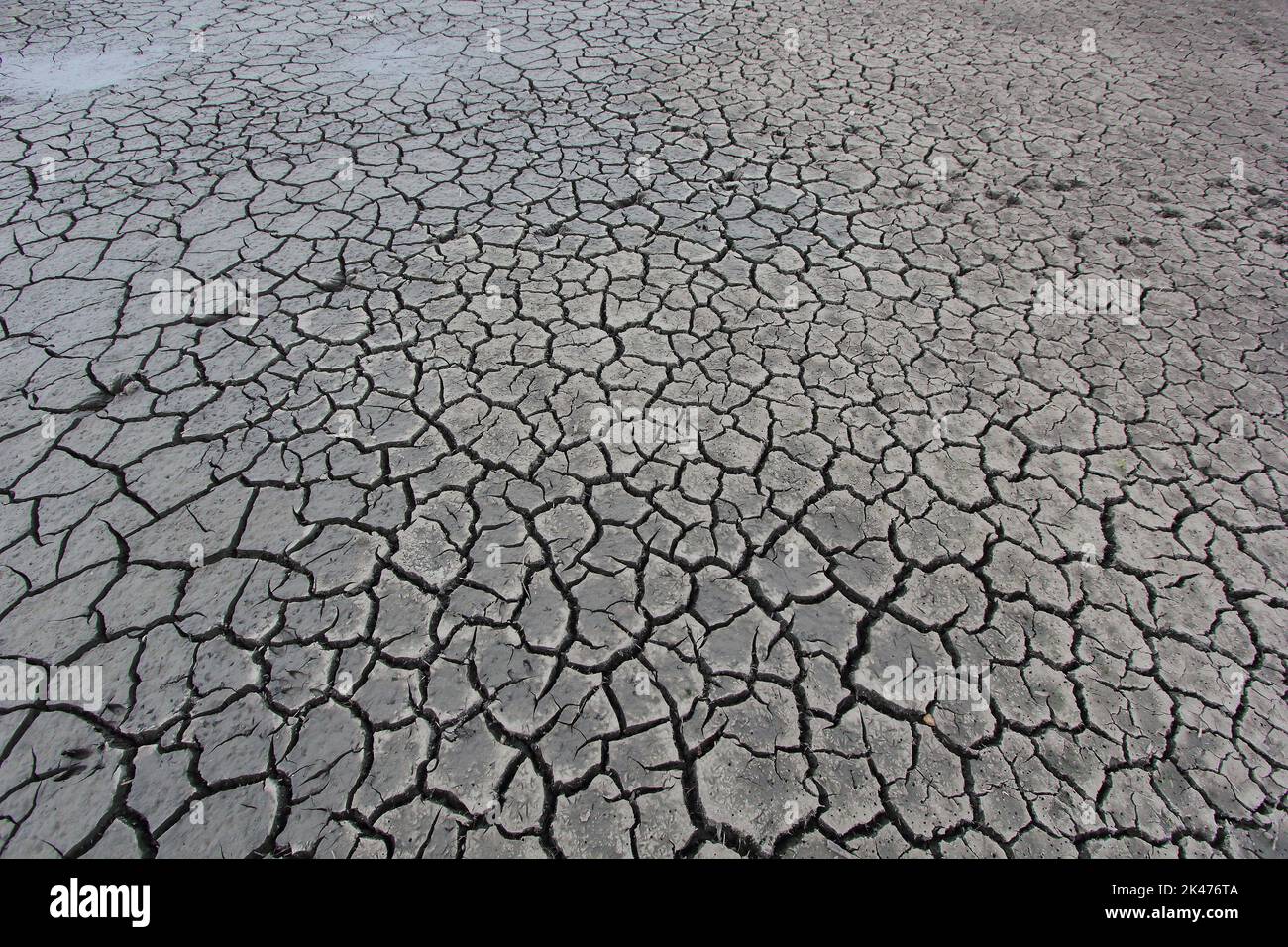 Drought, the ground cracks, no water, lack of moisture. Dried and ...