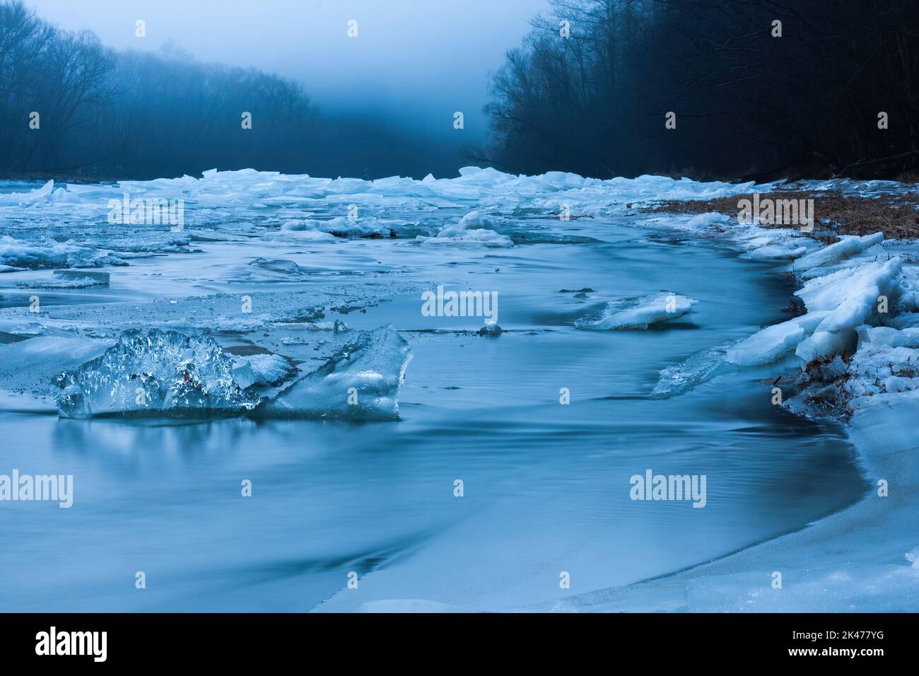 Unspoiled ecosystem hi-res stock photography and images - Alamy