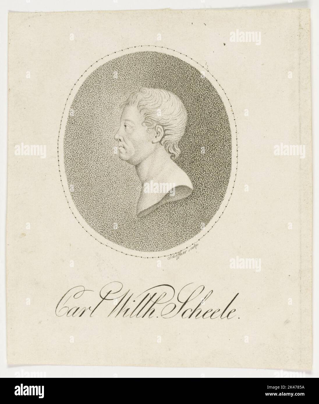 Portrait of Carl Willh. Shell Stock Photo - Alamy