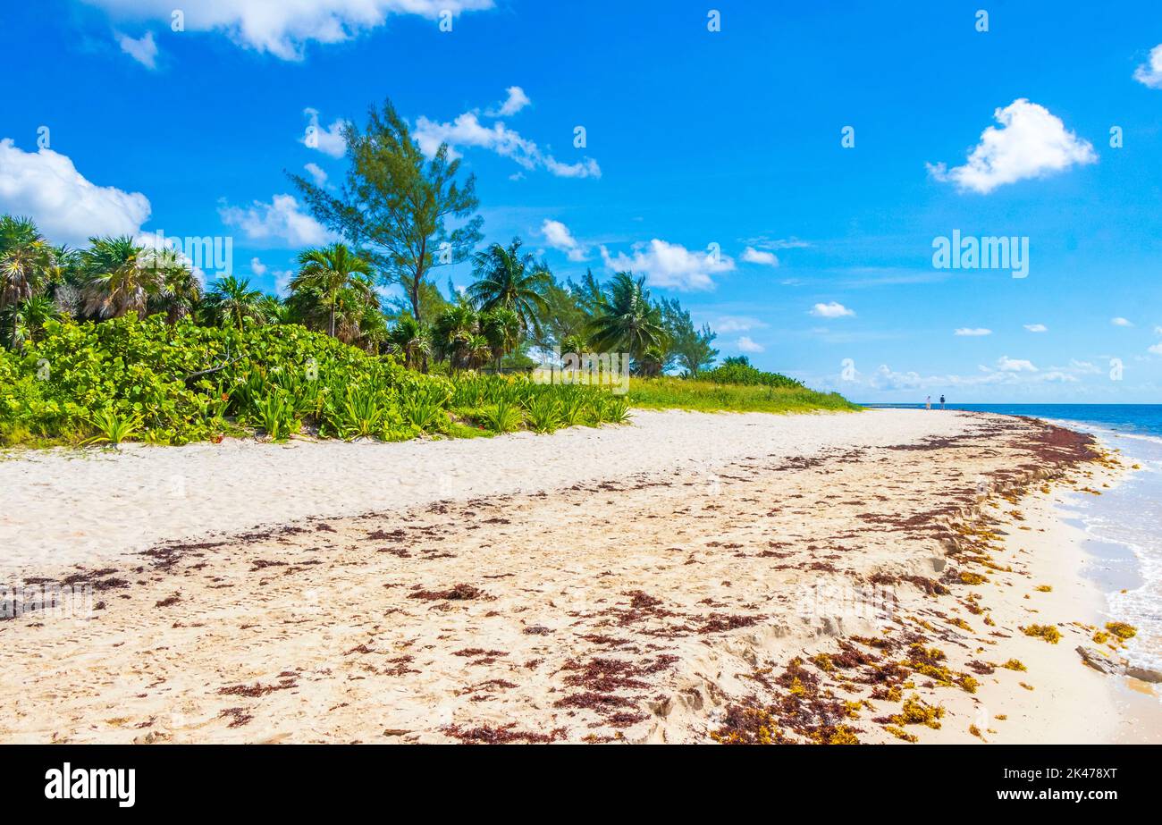 Tropical mexican beach landscape panorama with clear turquoise blue ...