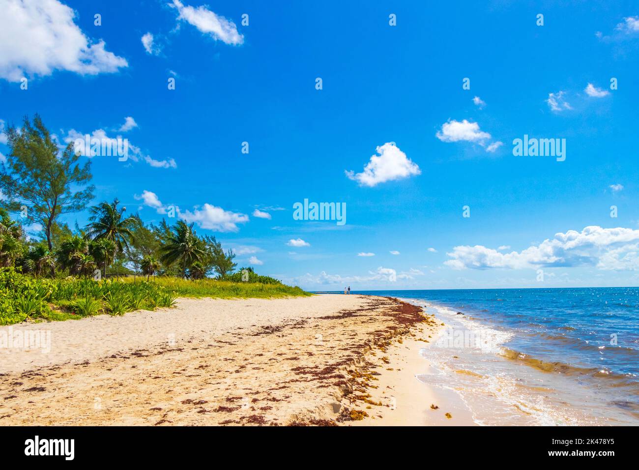 Tropical mexican beach landscape panorama with clear turquoise blue ...