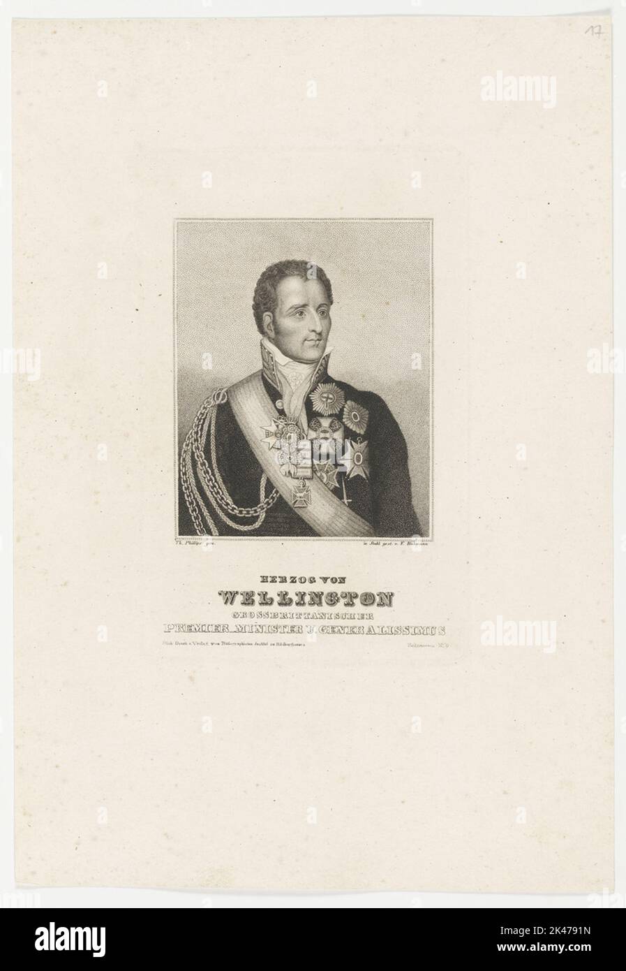 Portrait of the Duke of Wellington Stock Photo - Alamy