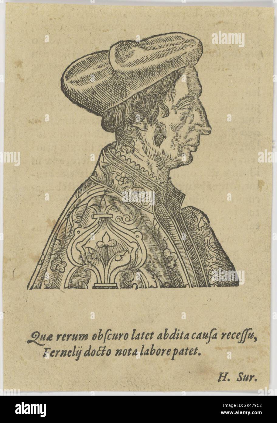 Portrait of the Fernelius Stock Photo - Alamy