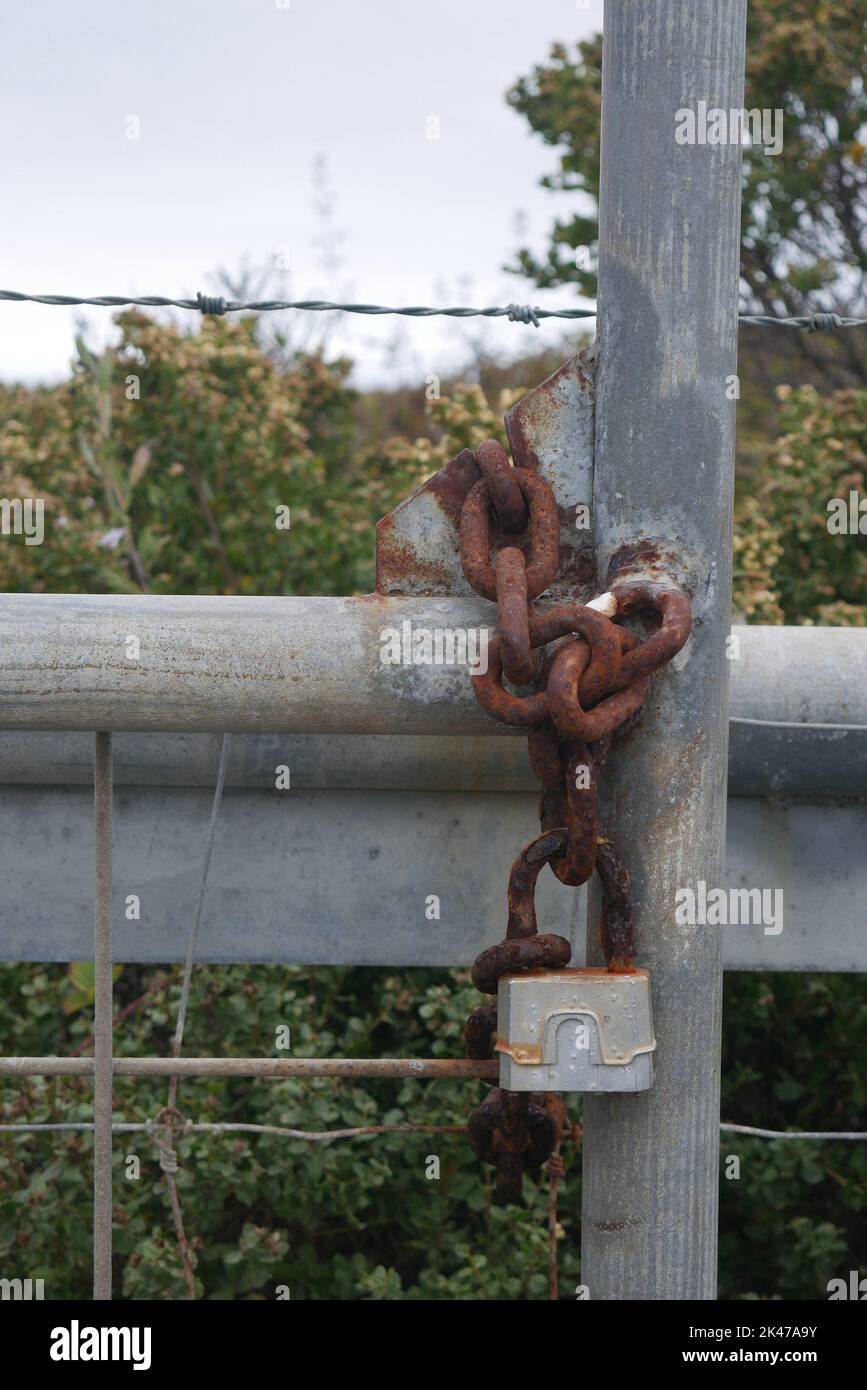 A rusting lock draped over a gate Stock Photo - Alamy