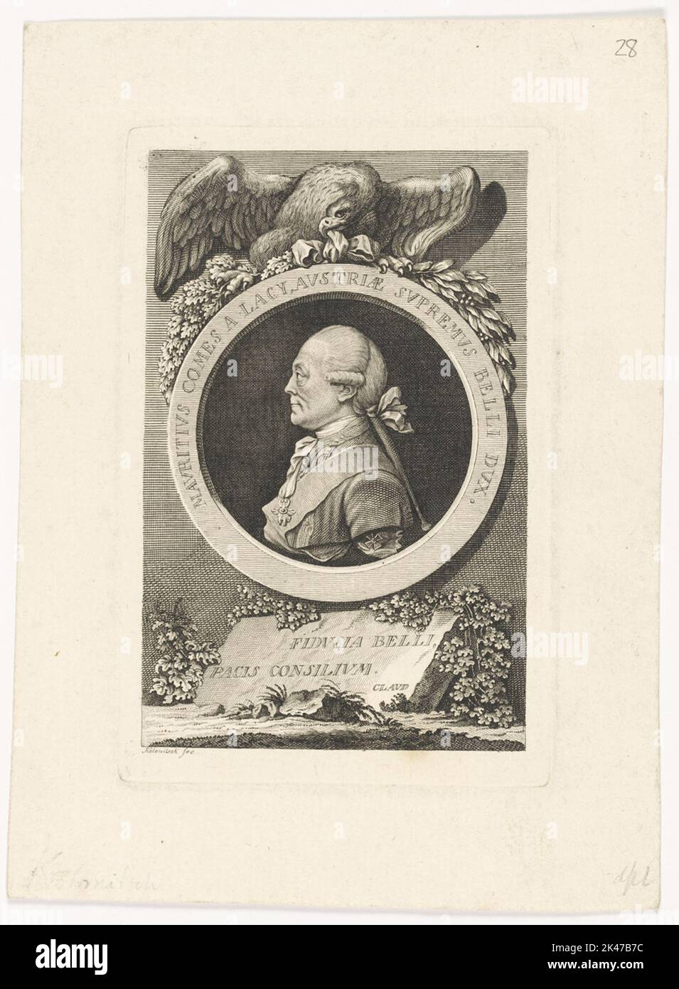 Mavritivs Comes a Lacy Stock Photo - Alamy