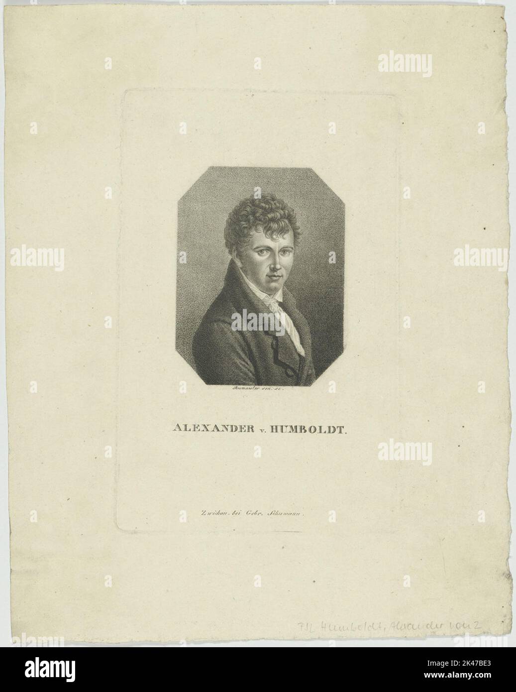 Portrait of Alexander v. Humboldt Stock Photo - Alamy