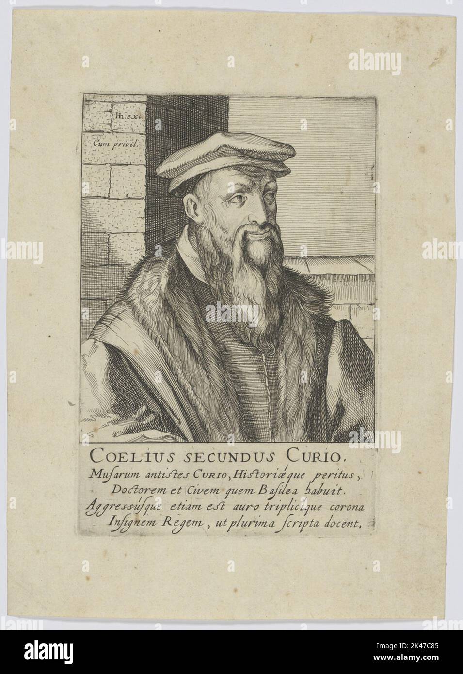 Coelius hi-res stock photography and images - Alamy