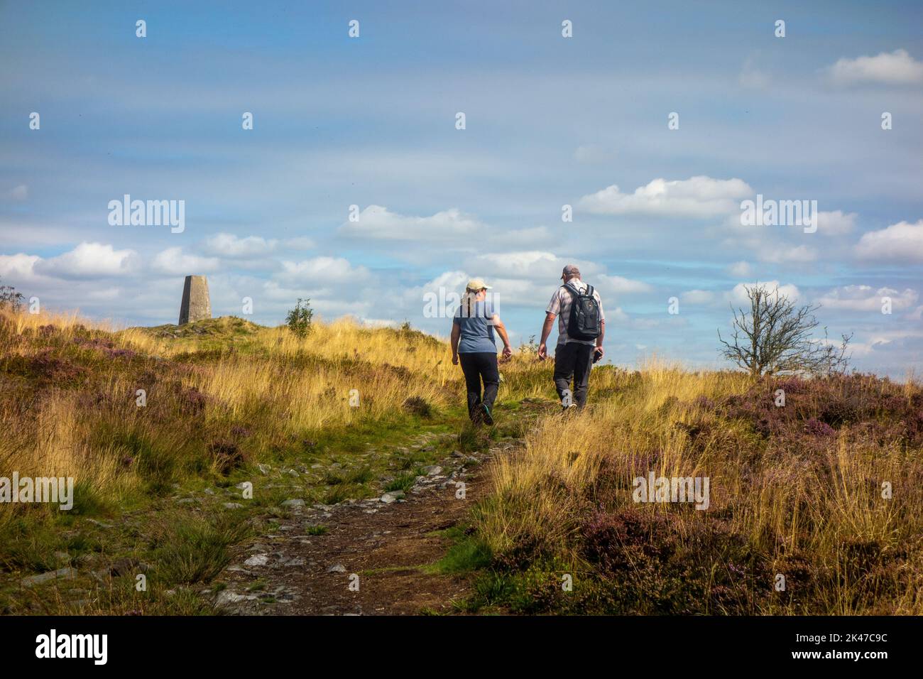 People walking on Staffordshire Wildlife Trusts nature reserve Gun Hill ...
