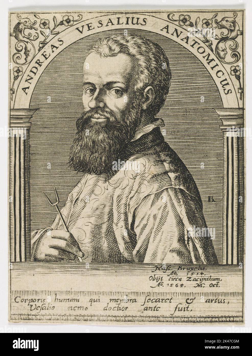Portrait of Andreas Vesalius Stock Photo - Alamy