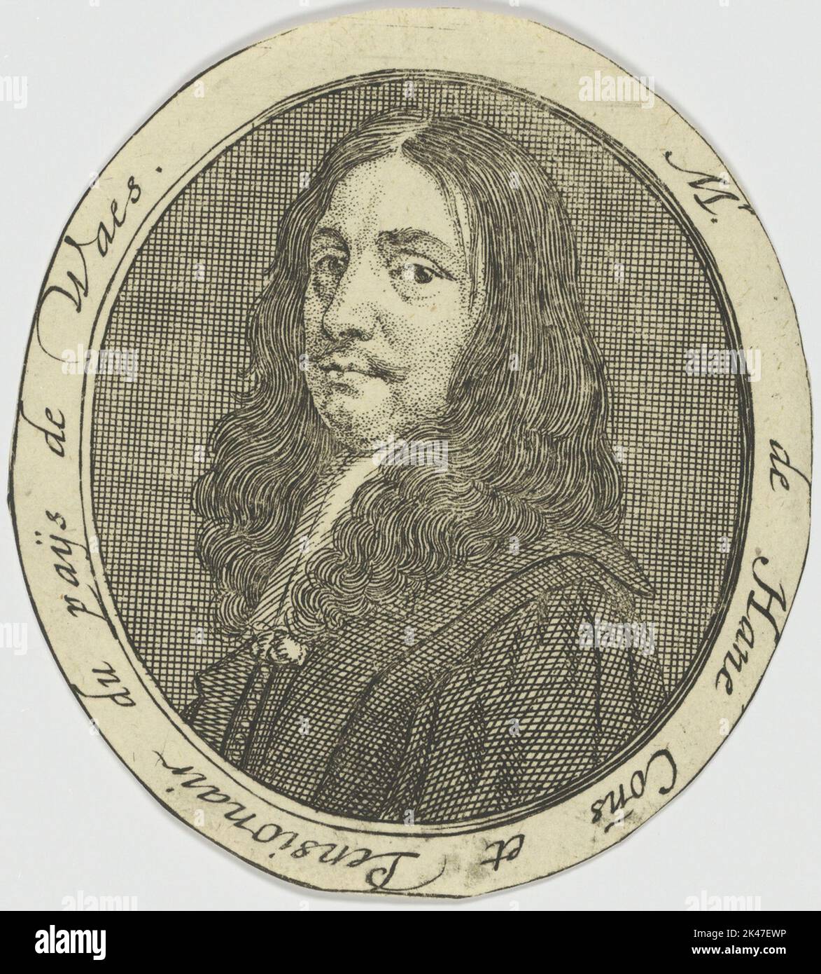 Portrait of de Hane Stock Photo - Alamy