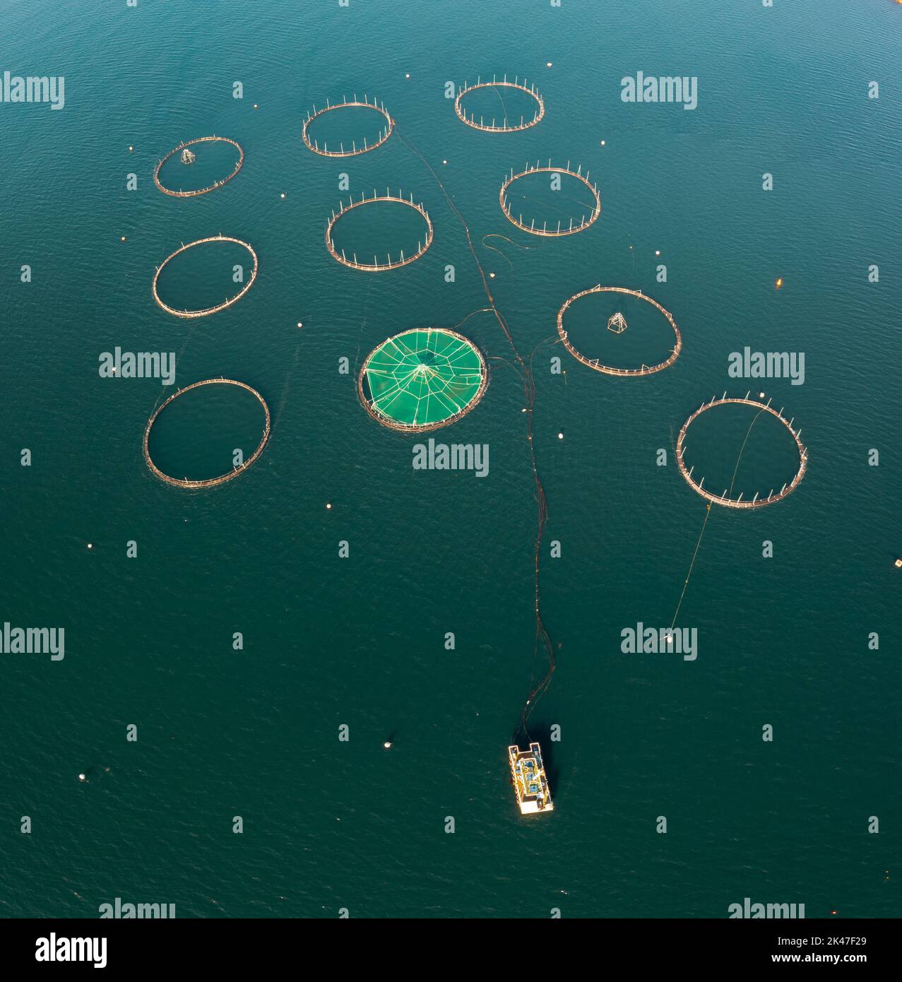 A top-down view of aquaculture fish farm cages and nets in deep blue ...