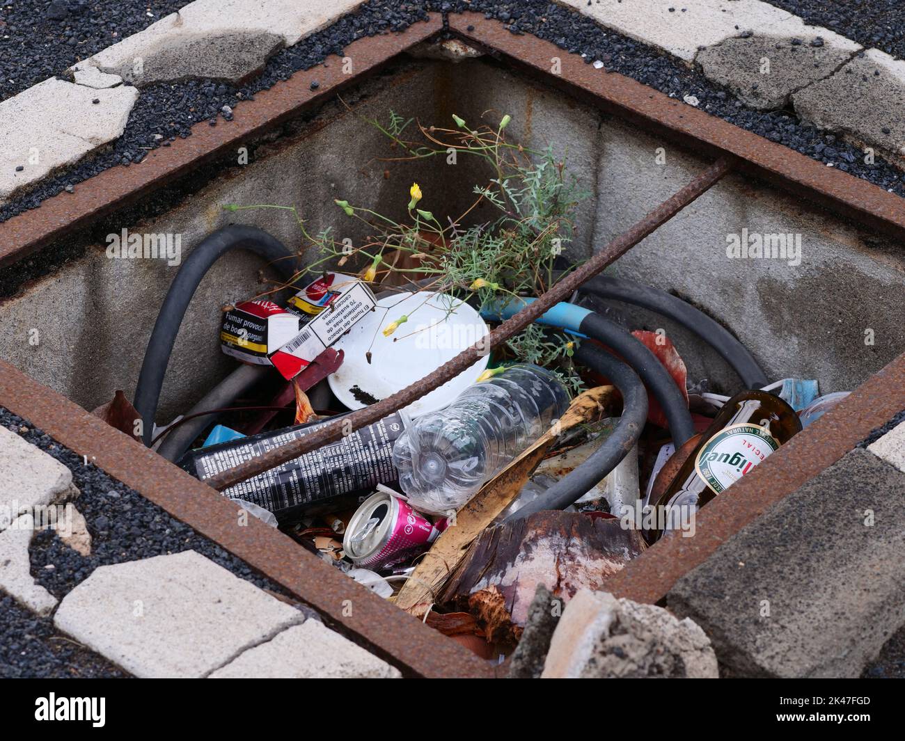 Discarded rubbish along the road, environmental pollution Stock Photo ...