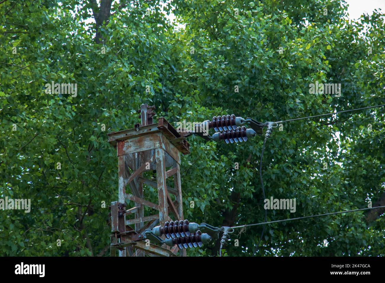 Power lines on the background of green foliage of trees Stock Photo - Alamy