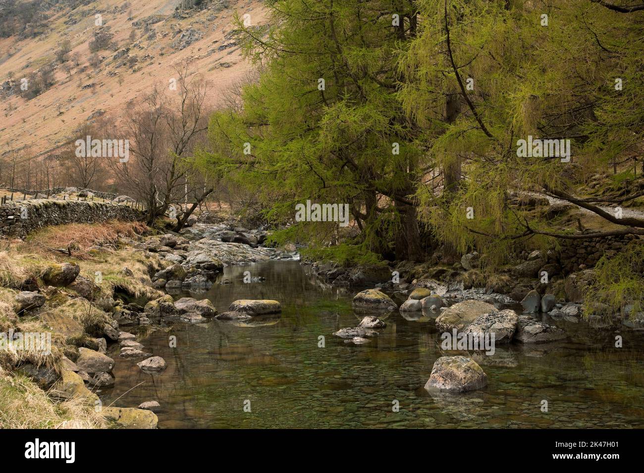 The Langstrath Beck in the Langstrath Valley, Cumbria, UK Stock Photo ...