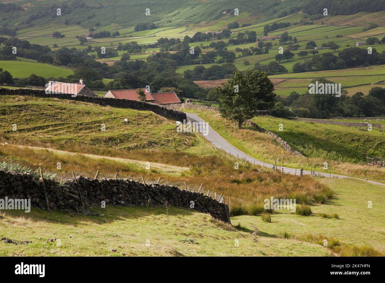 A view down the North York Moors valley of Bransdale, Yorkshire, UK ...