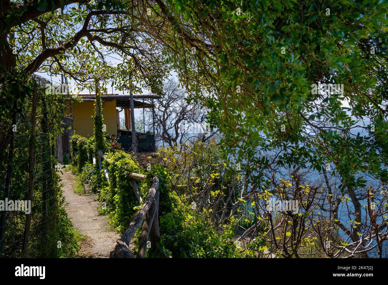 The path through the green trees leaning to keep shade by the sea on ...
