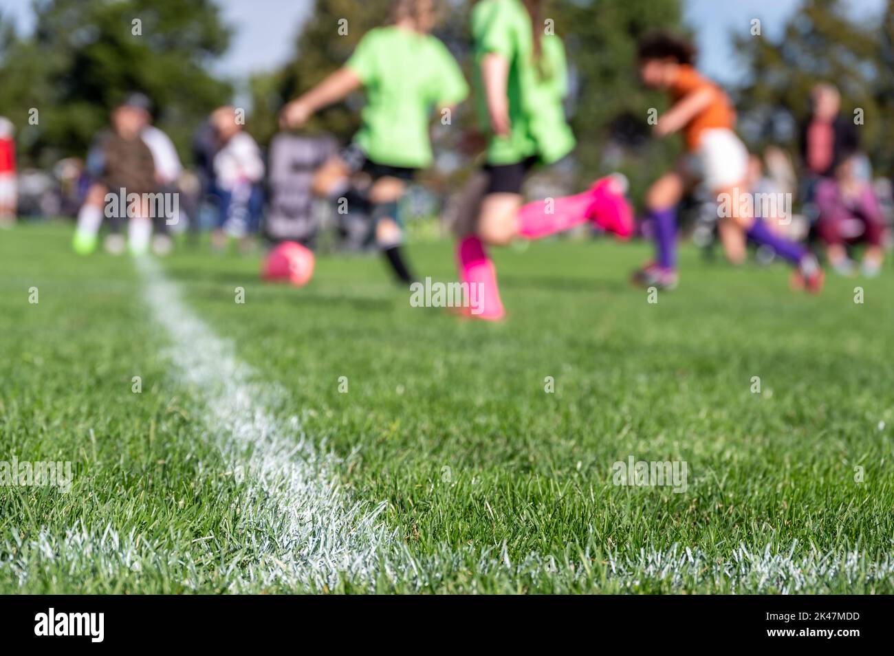 Selective focus on ground level view of soccer field center line with ...