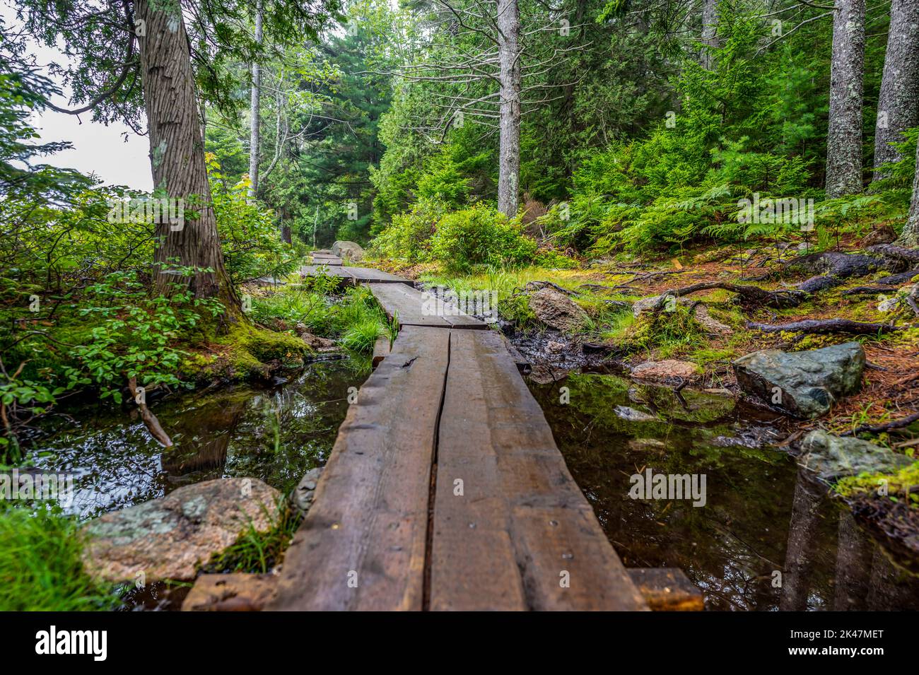 Elevated boardwalk path along western edge of Jordan Pond in Acadia ...