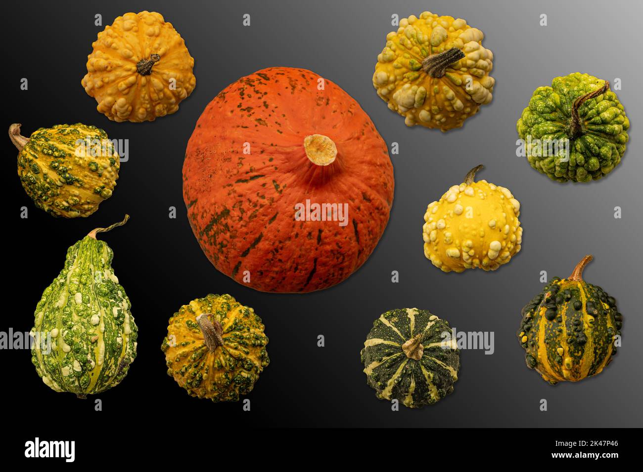 Halloween. Variation of various type of halloween and decorative ...