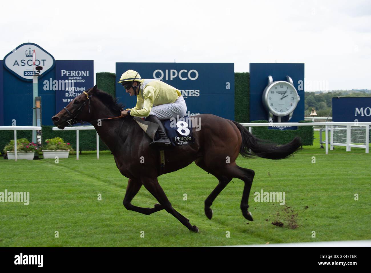 Mr ross birkett hi-res stock photography and images - Alamy