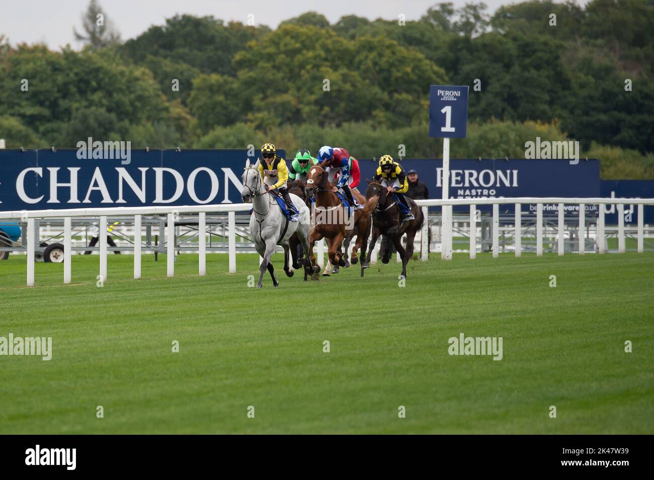 The londonmetric handicap stakes hi-res stock photography and images ...