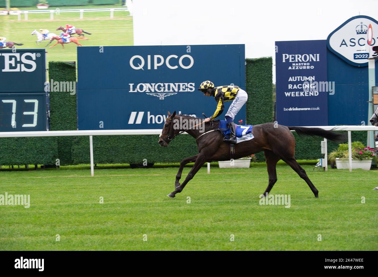 Macable partnership hi-res stock photography and images - Alamy