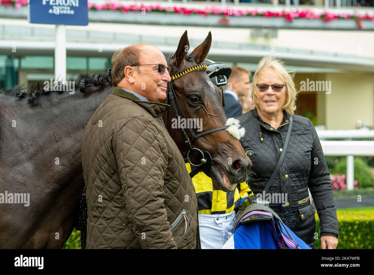 Horse malakanha hi-res stock photography and images - Alamy