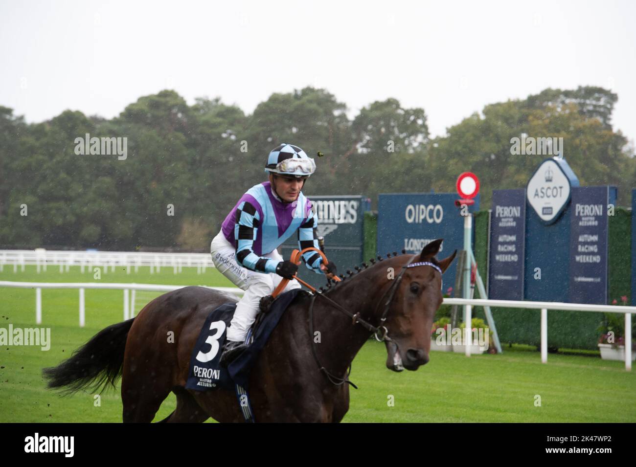 Khalid abdul rahim hi-res stock photography and images - Alamy