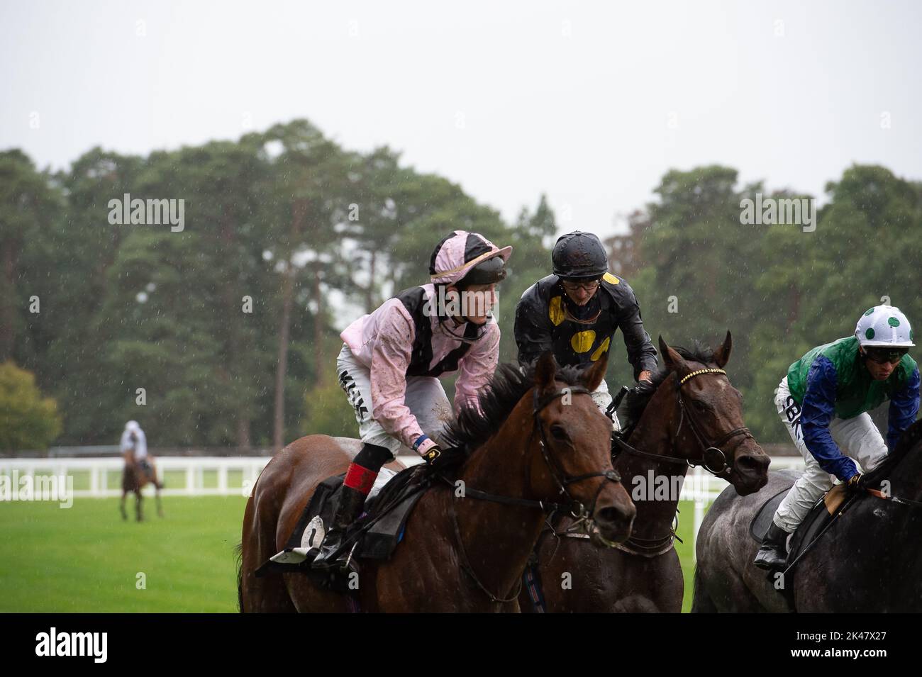 Smart signage display solutions handicap classified stakes hi-res stock ...