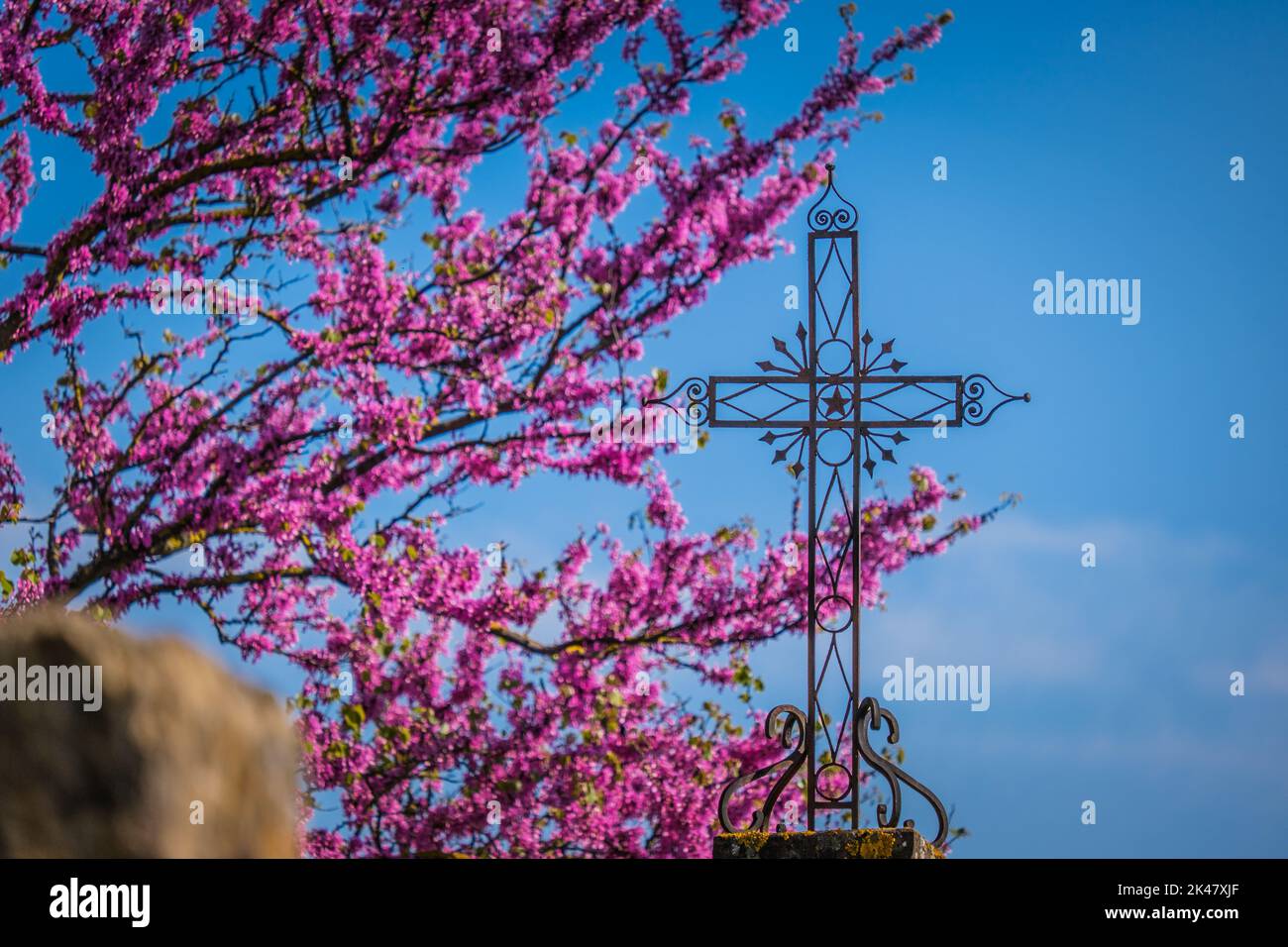 Bloom iron hi-res stock photography and images - Alamy