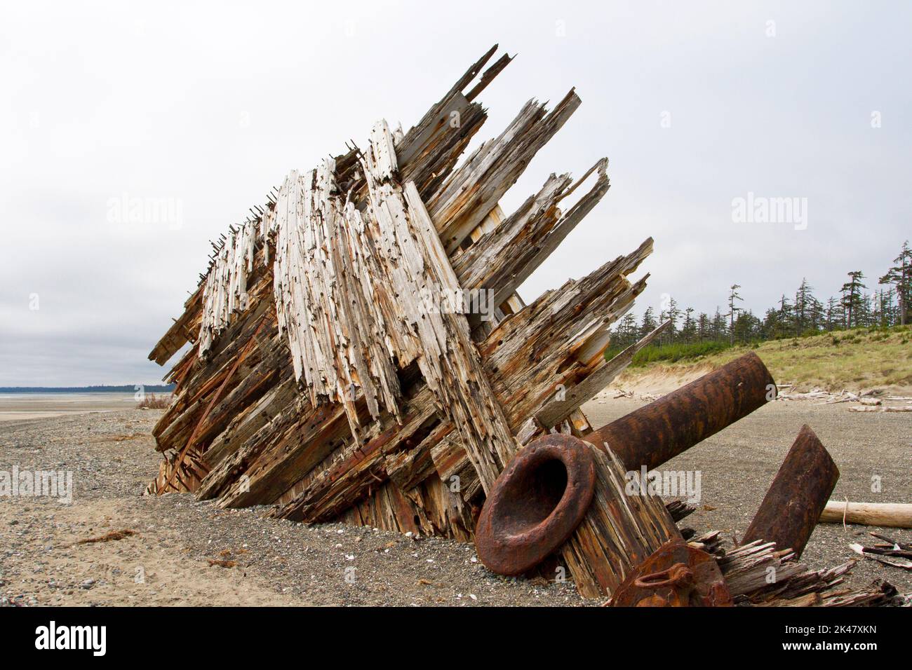 The remaining hull of the Pesuta shipwreck lying in sand north of Tlell ...