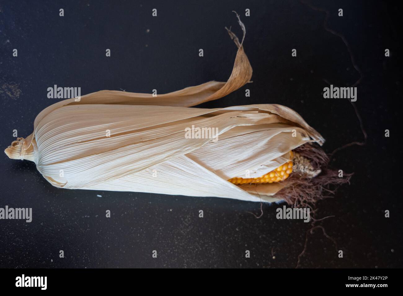 dry corn with husk still attached Stock Photo - Alamy