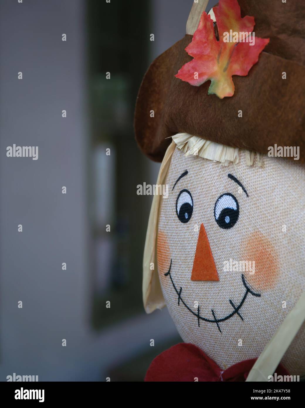 Scarecrow images hi-res stock photography and images - Alamy