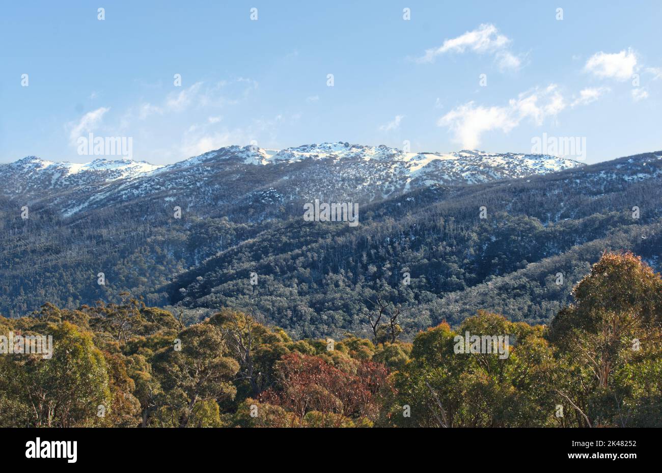 a section of a mountain range at the snowy mountains in southern NSW ...