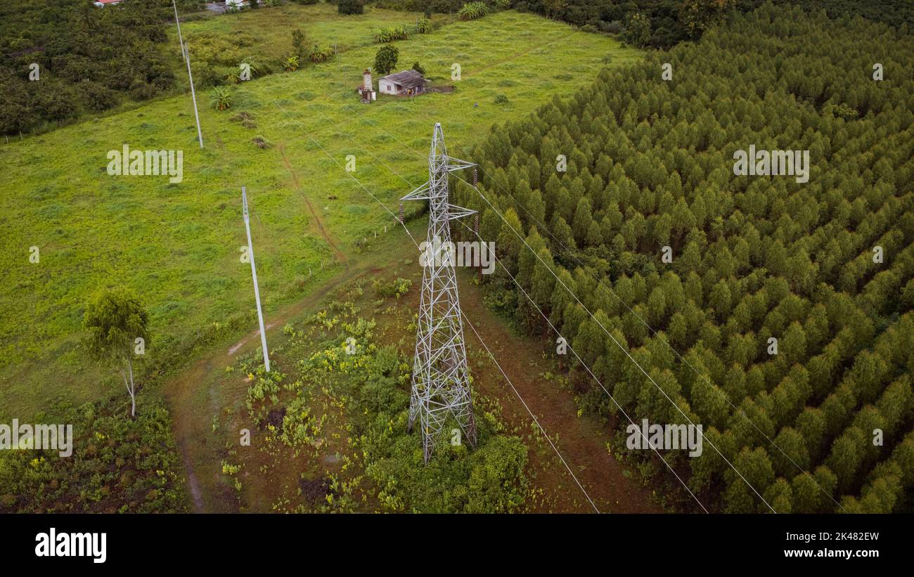 Aerial view of high voltage pylons and power lines between eucalyptus ...