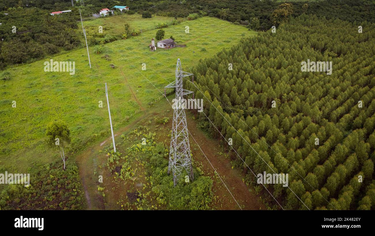 Aerial view of high voltage pylons and power lines between eucalyptus ...