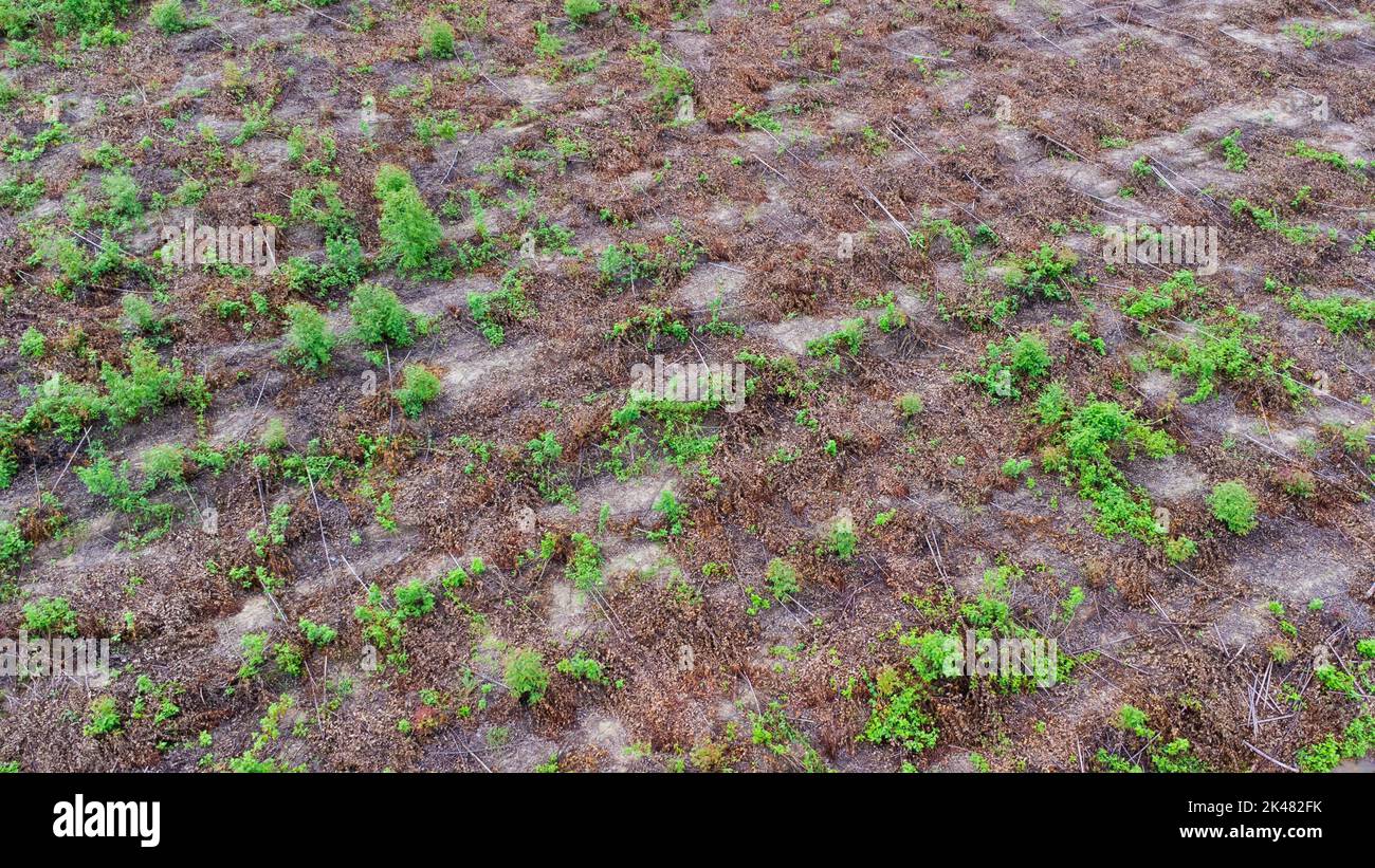 Aerial view of beautiful landscapes of agricultural or cultivating ...