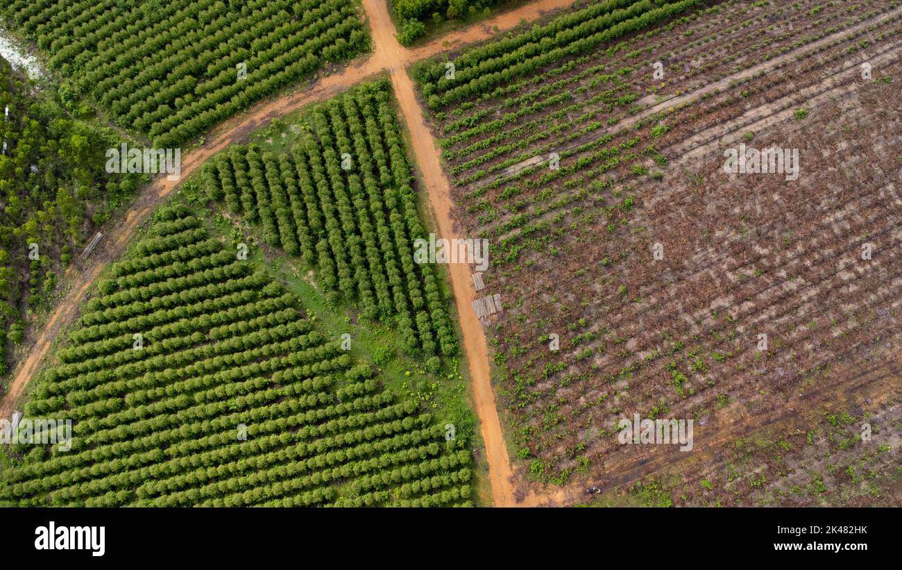 Aerial view of a dirt road that cuts through the beautiful green spaces ...