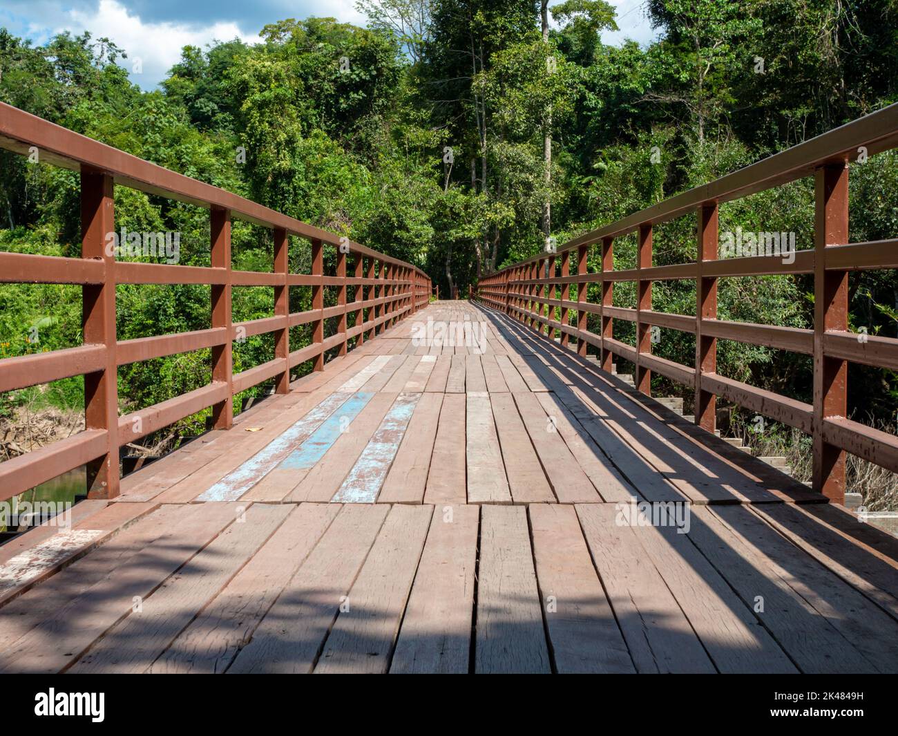 A long wooden bridge in the middle of the forest Stock Photo - Alamy