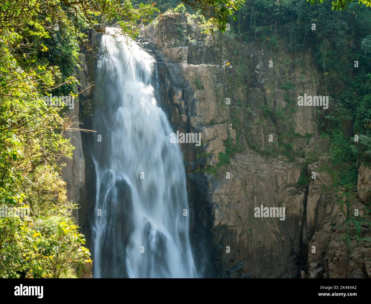 Picture of the waterfall from the middle of the forest At Khao Yai ...