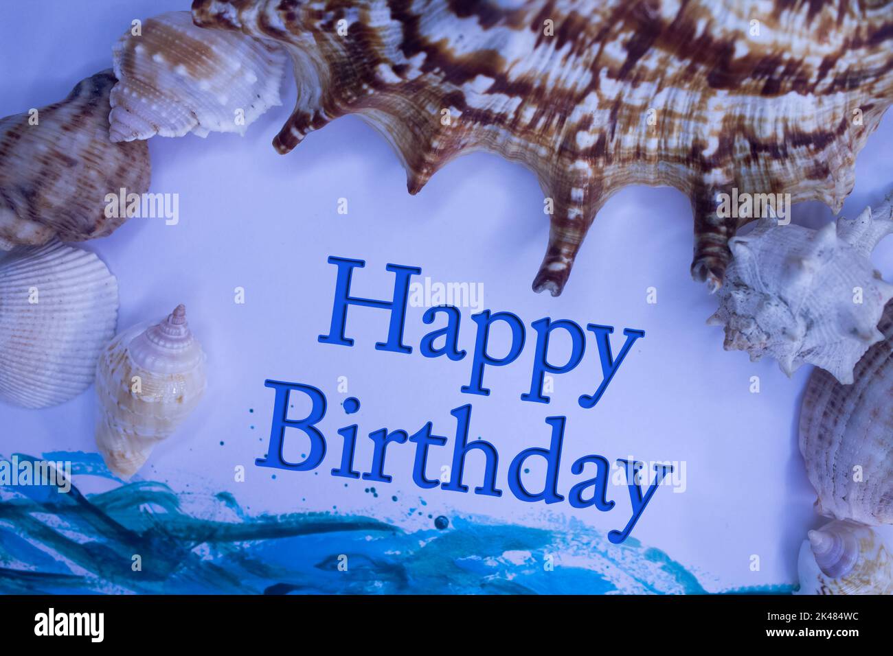 Animal Shell, Summer vacation, marine background with Happy Birthday ...