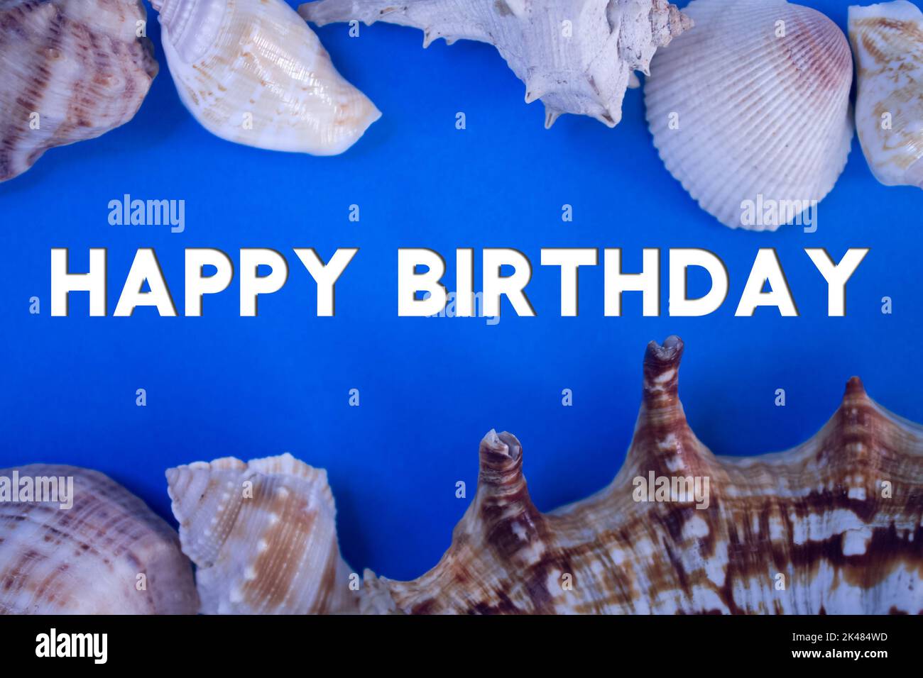 Animal Shell, Summer vacation, marine background with Happy Birthday ...
