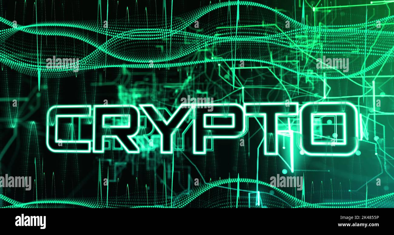 Image of crypto text over data processing on black background. Social ...