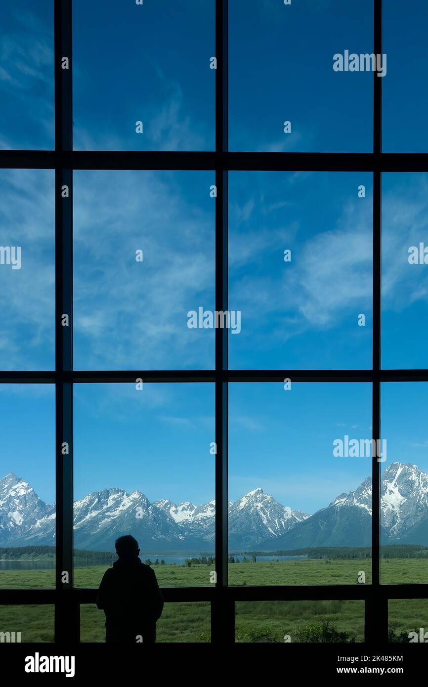A person looking out huge windows in the Jackson Lake Lodge in Grand ...