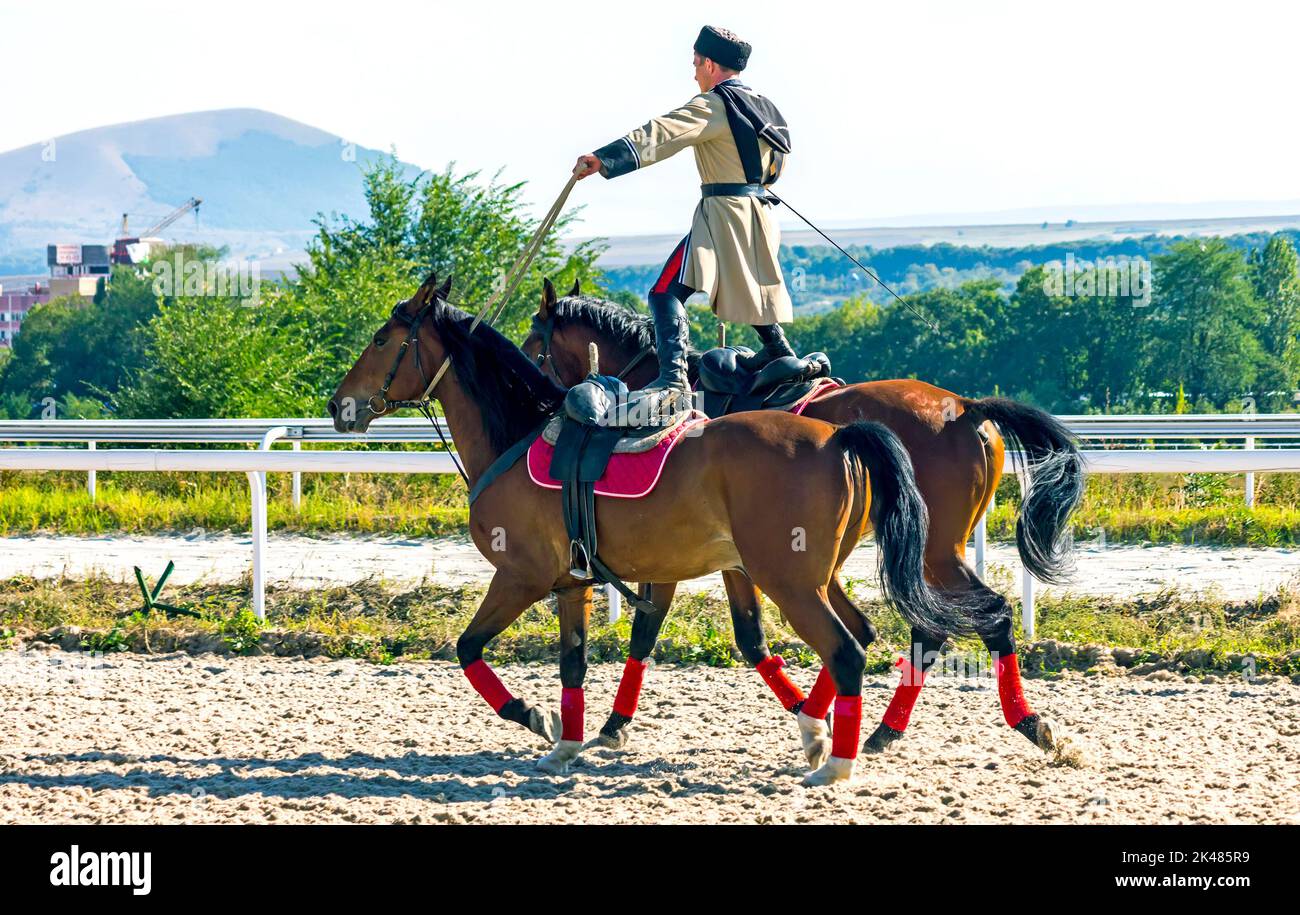 A rider on a horses performs a trick,Northern Caucasus,Russia Stock ...