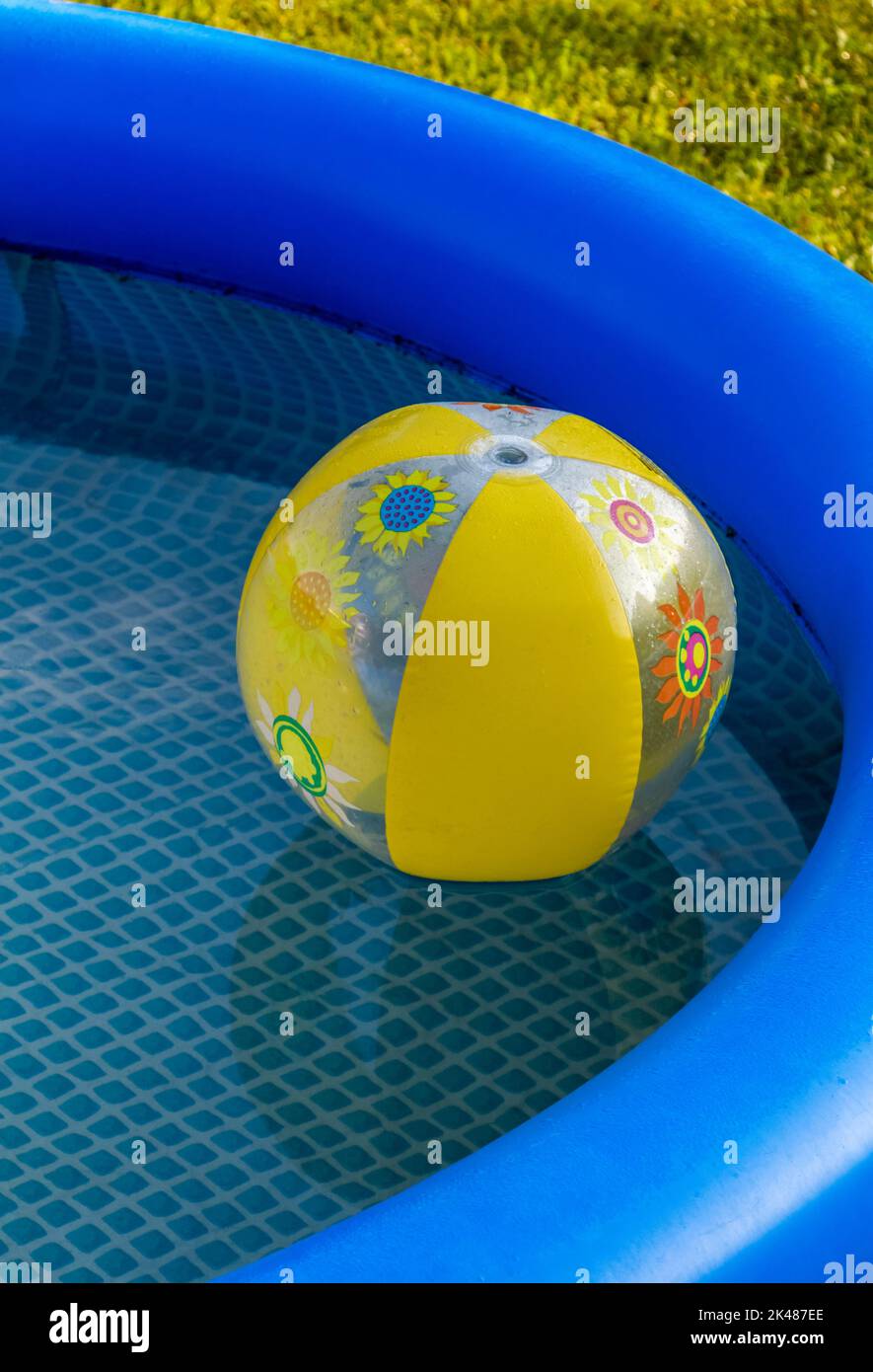 A yellow baby ball floats in a blue inflatable pool in the backyard ...