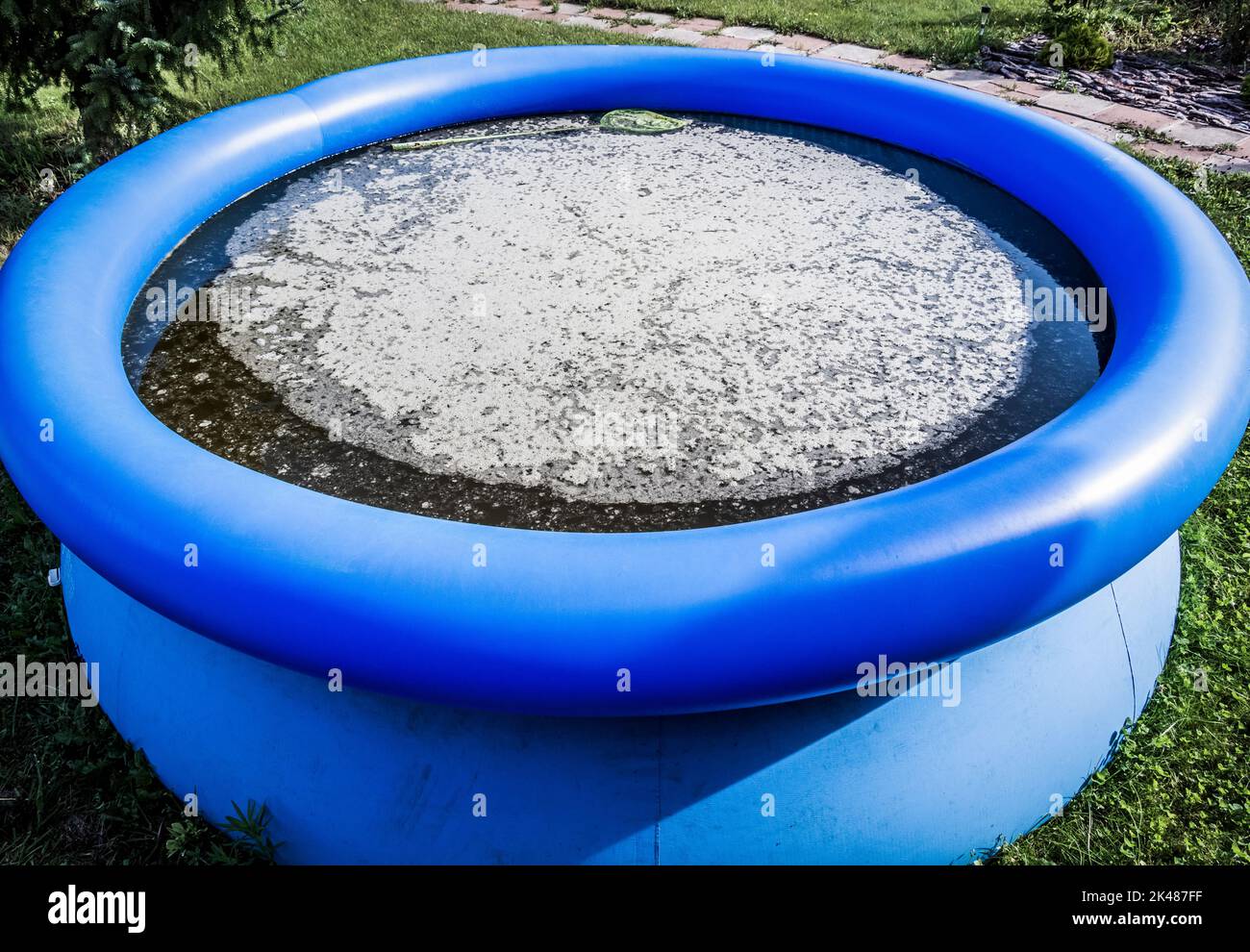 Dirty stagnant water in an abandoned inflatable pool Stock Photo - Alamy