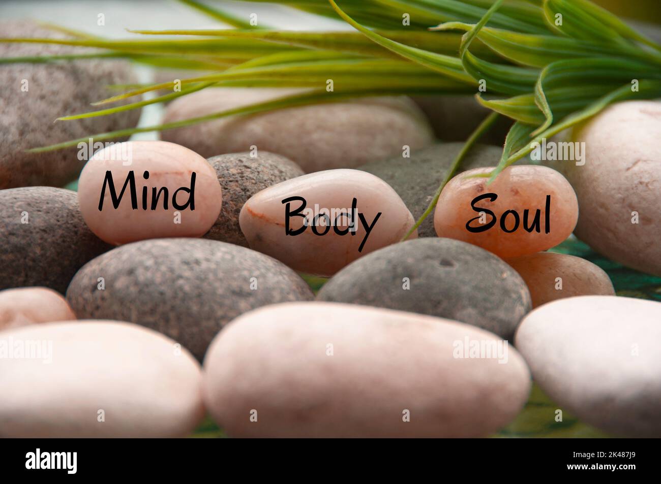 Zen stones with words Mind, Body, Soul with rocks and plant background ...
