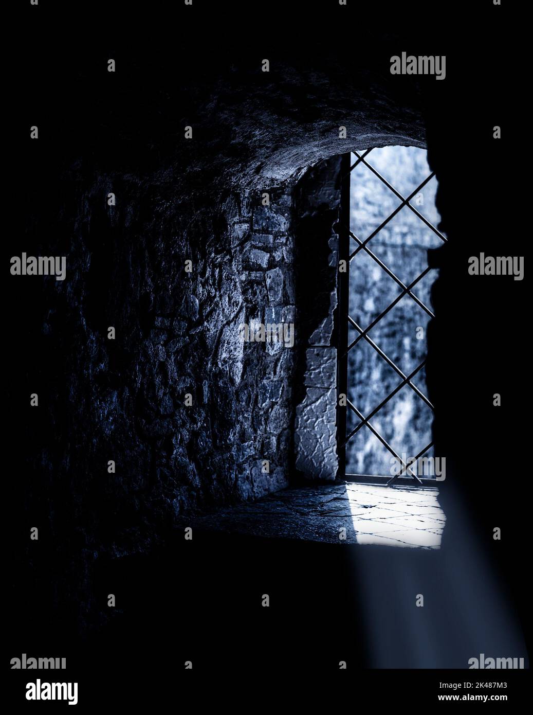 Rays of moonlight break through the narrow window of the old castle ...